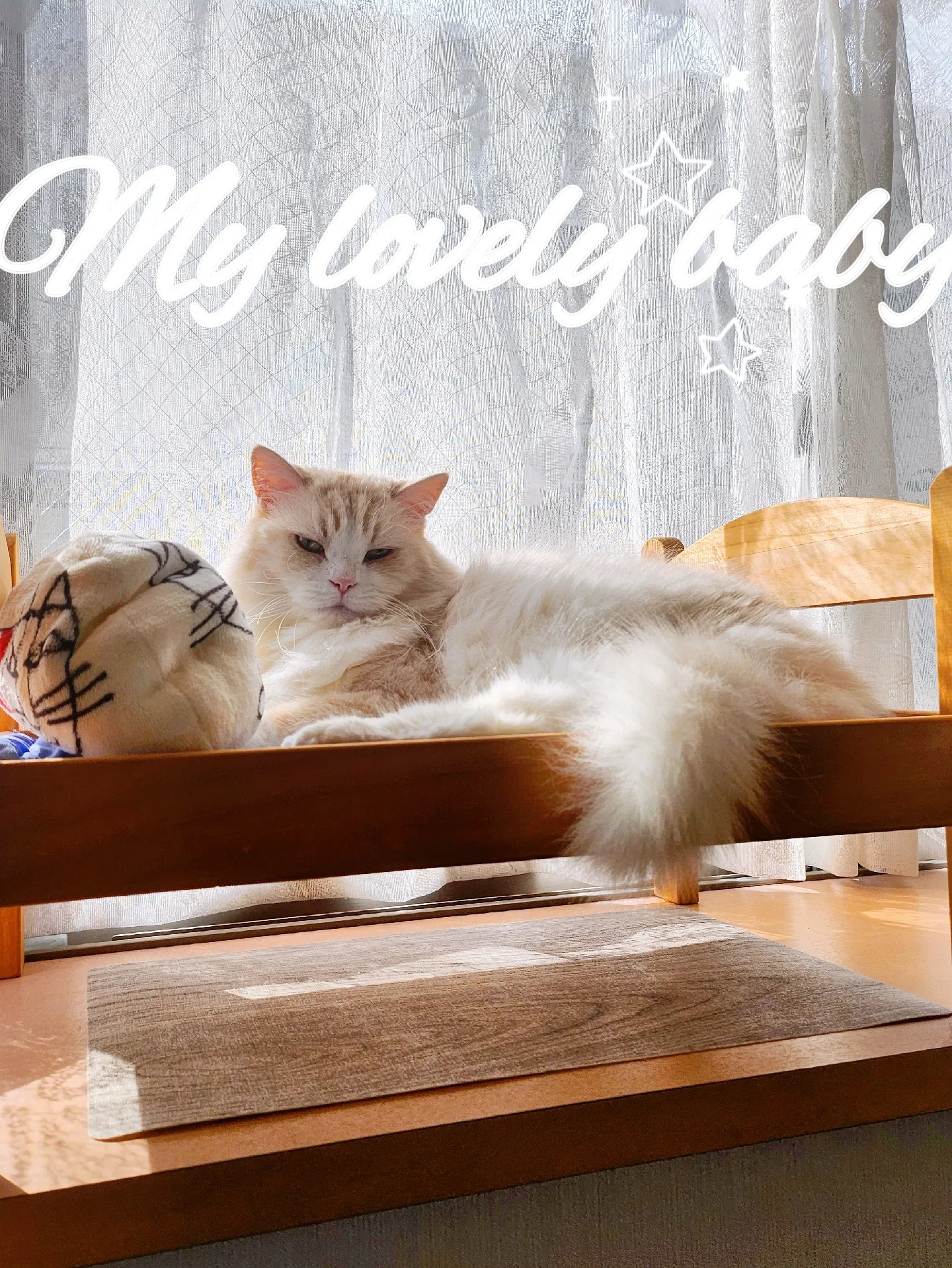 うっとり👍まったり | mayurin “まゆりん”が投稿したフォトブック | Lemon8