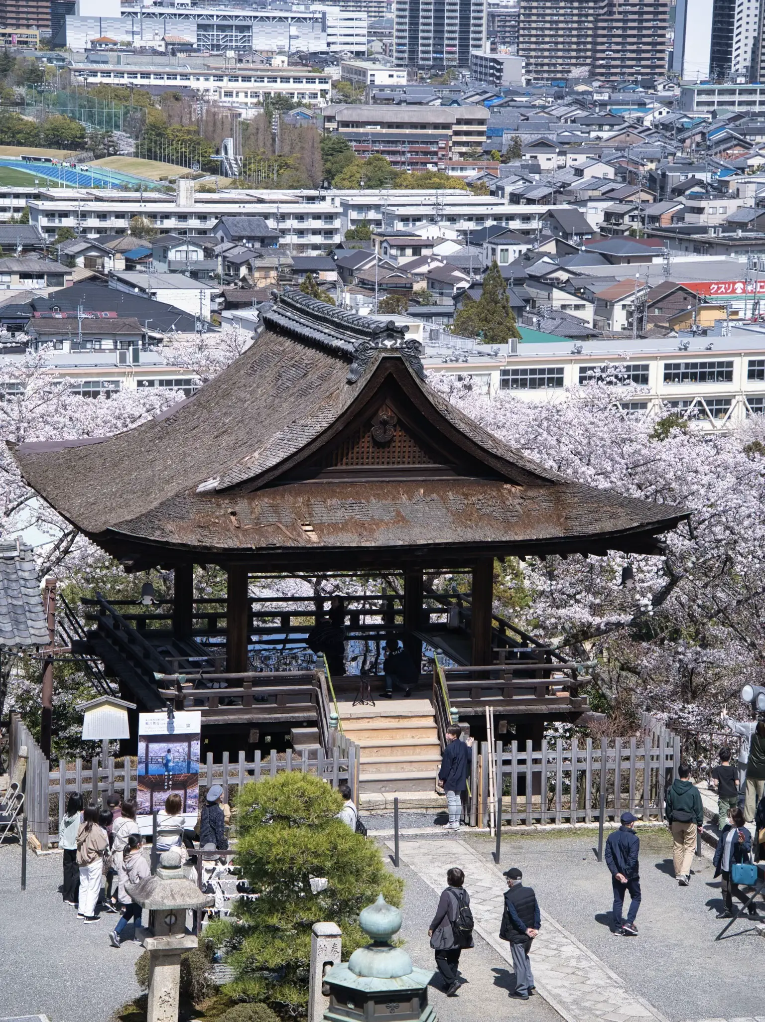 Shiga × Cherry Blossom 】 5-minute private viewing Cherry blossom reflection on the stage that ...
