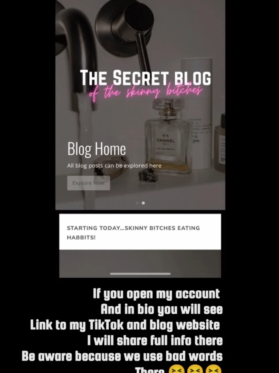 the secret blog is ready.... | Video published by Slavic girl | Lemon8