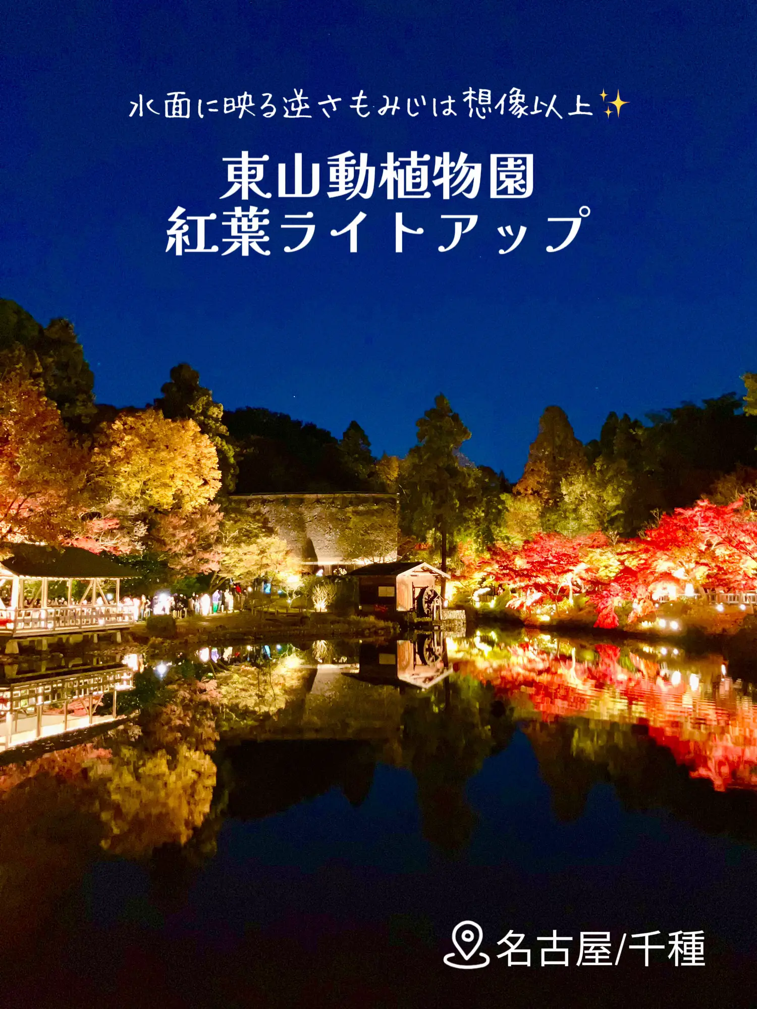 【名古屋/千種】東山動植物園 紅葉ライトアップ🍁 | TOMOの投稿動画 | Lemon8