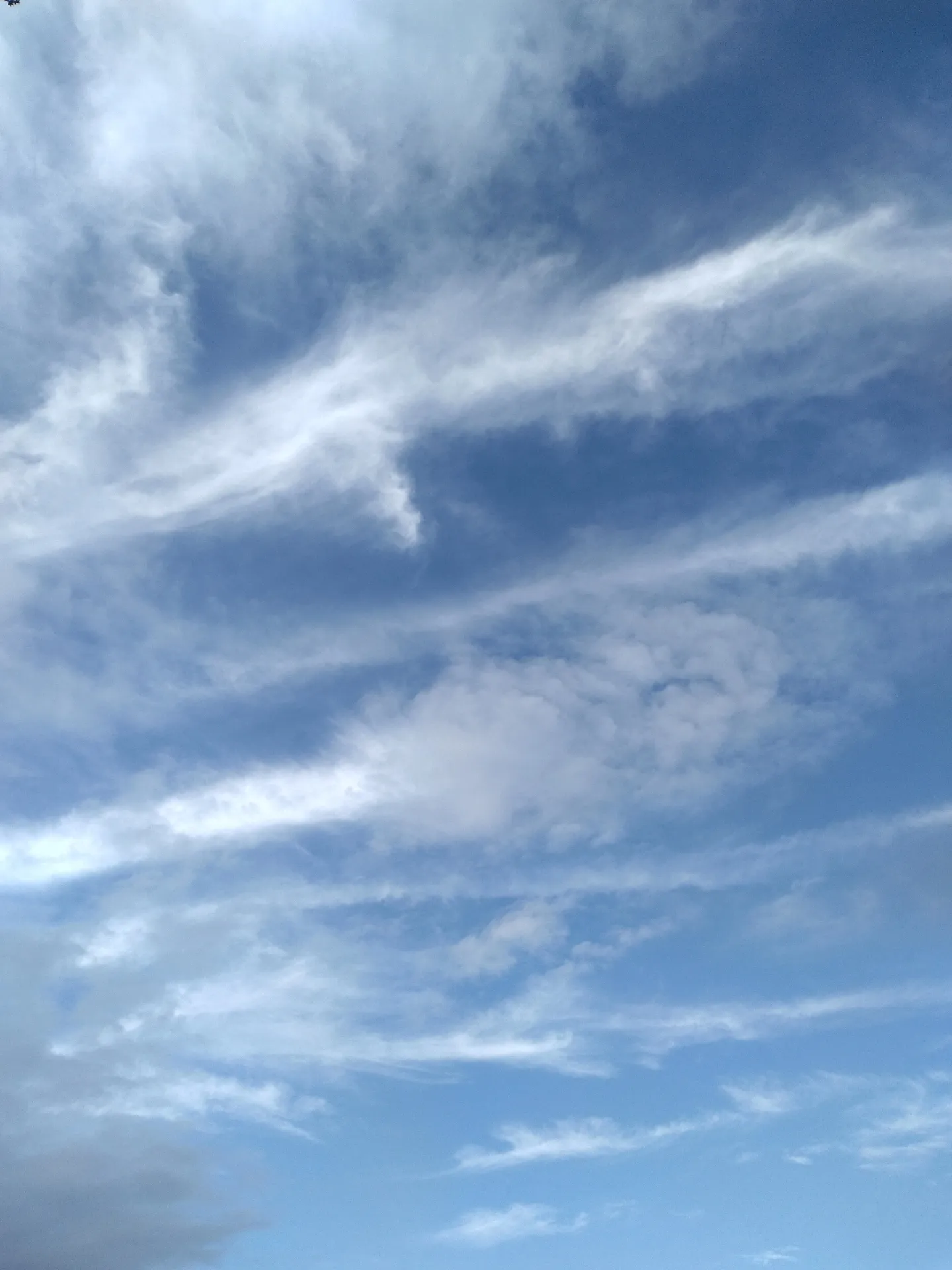 Toon-sky | こーじ之すけが投稿したフォトブック | Lemon8