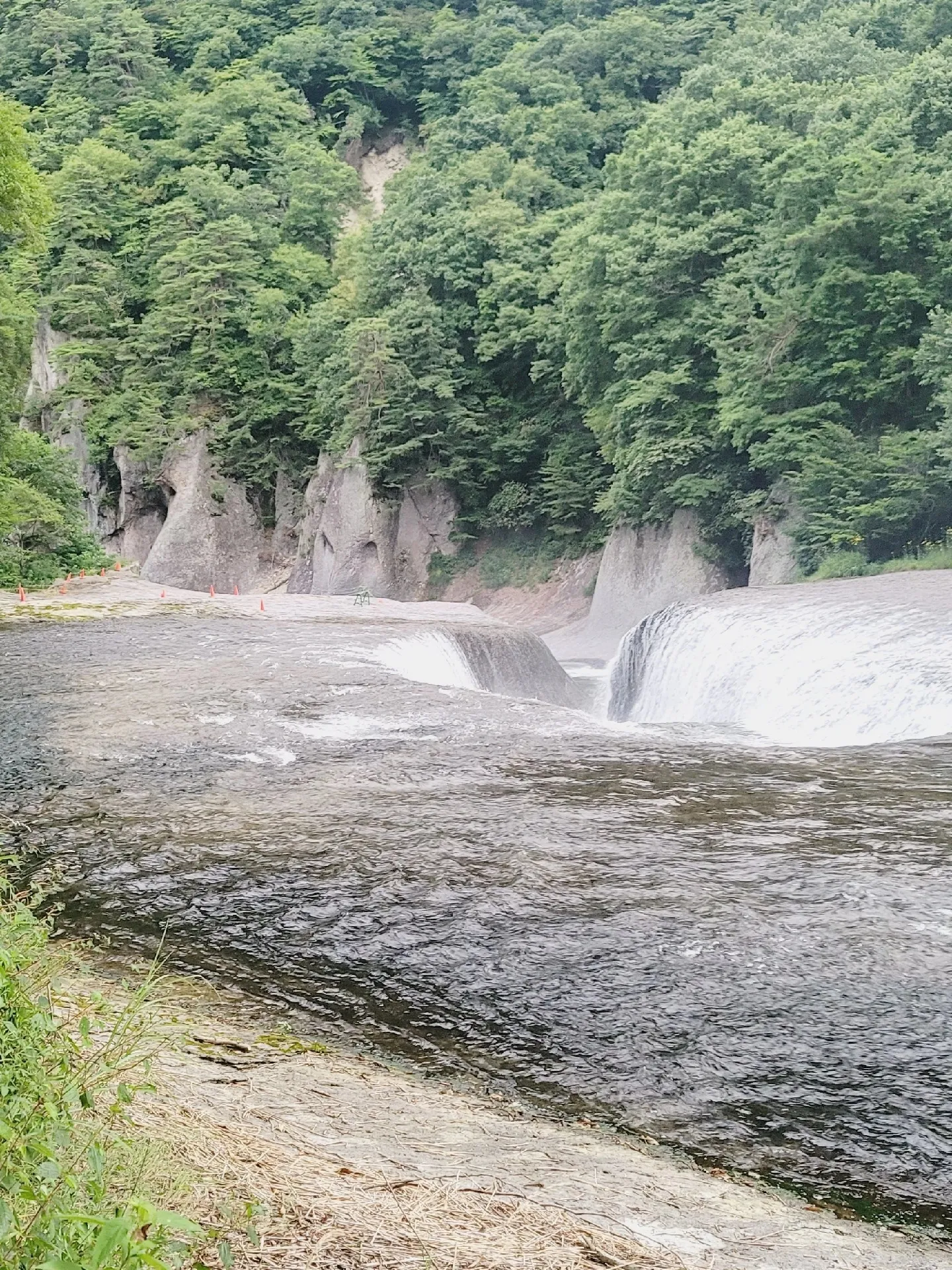 [Gunma Light] สาขาทากิ R5.7 / 29😳 | แกลเลอรีที่โพสต์โดย もも | Lemon8