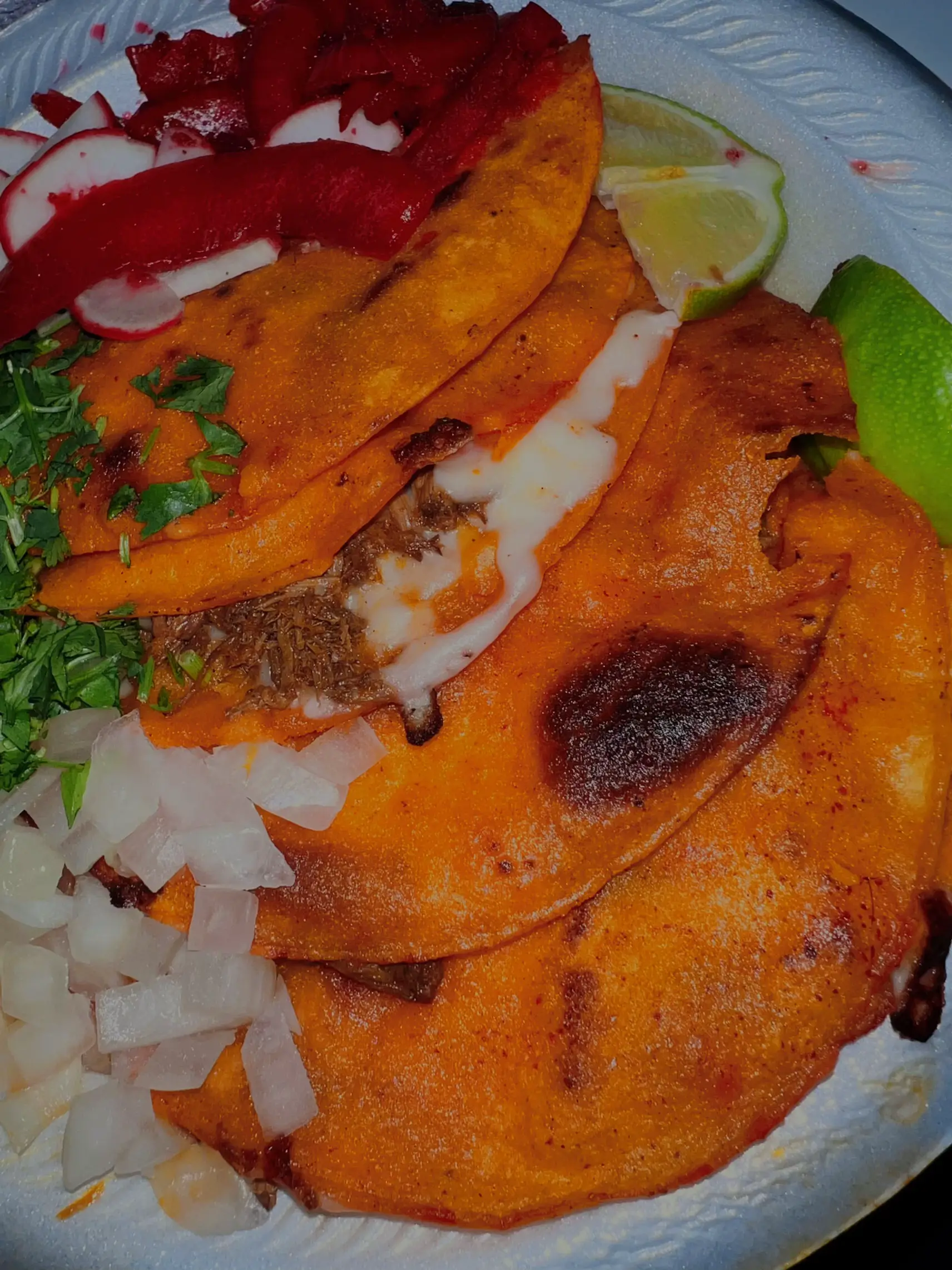 Best Birria Tacos in Texas 🔥 | Gallery posted by Nae Simone | Lemon8