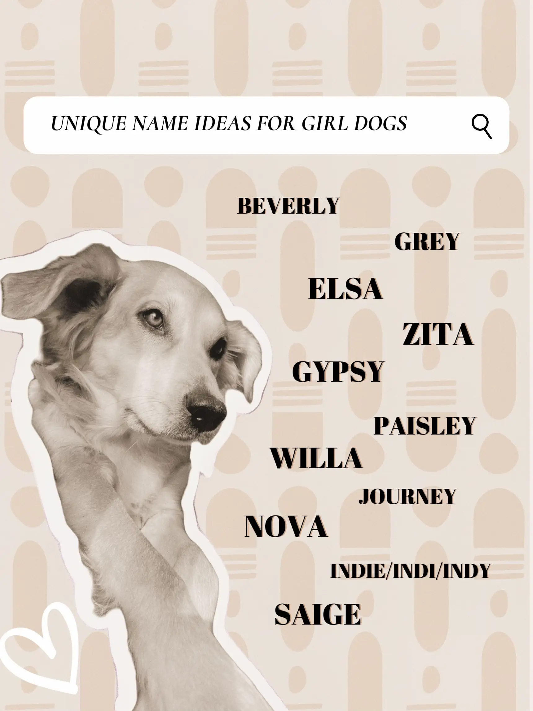 UNIQUE NAME IDEAS FOR GIRL DOGS Gallery Posted By MADELYN Lemon8