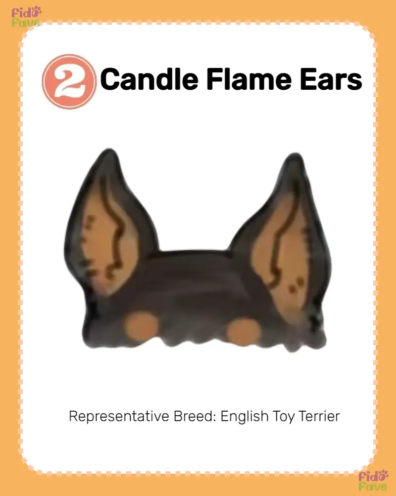 Dog Ear Types: 8 Varieties and Breeds | Gallery posted by Fido Fave ...