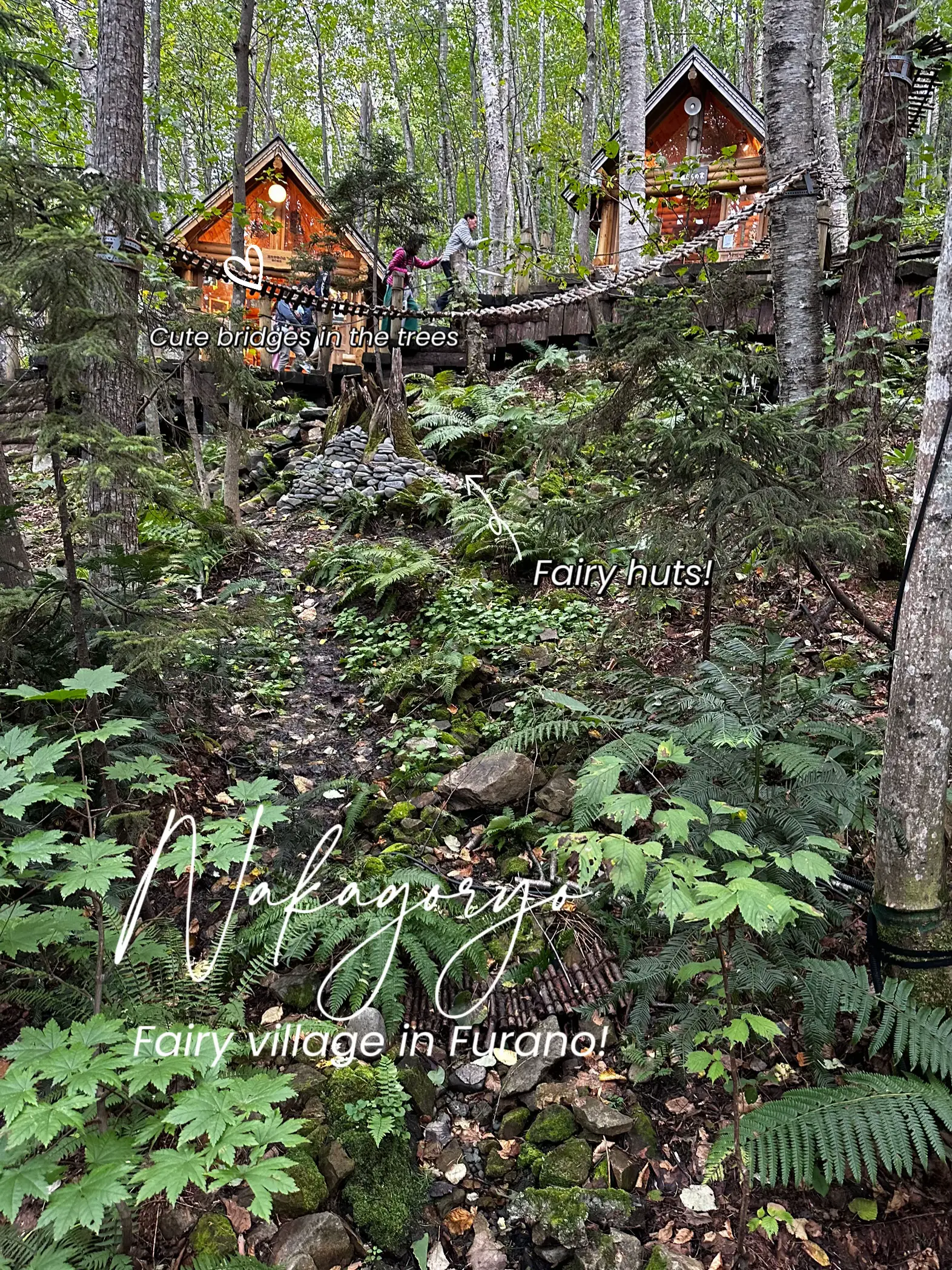 Japan Honeymoon (part 4) | Gallery posted by Alex Probst | Lemon8