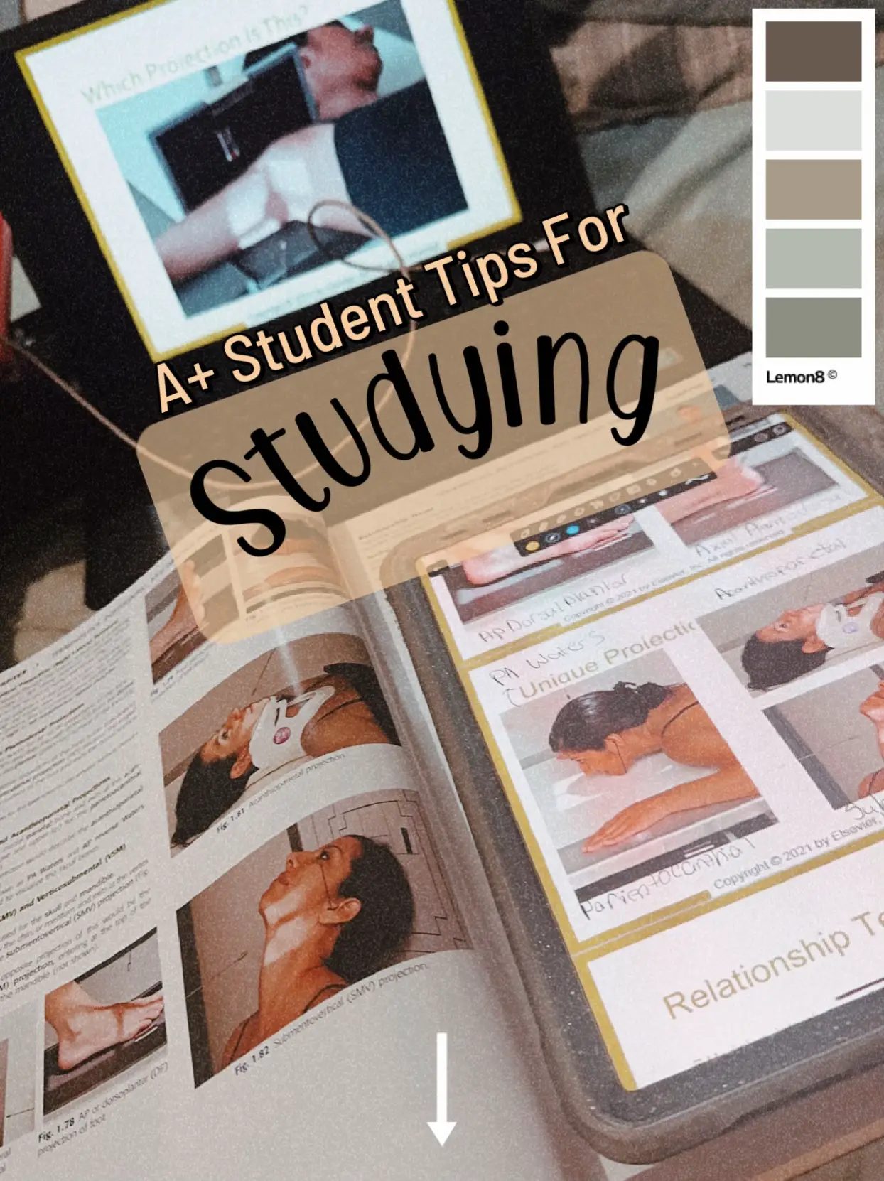 Studying Tips for A+ College Students | Gallery posted by London | Lemon8
