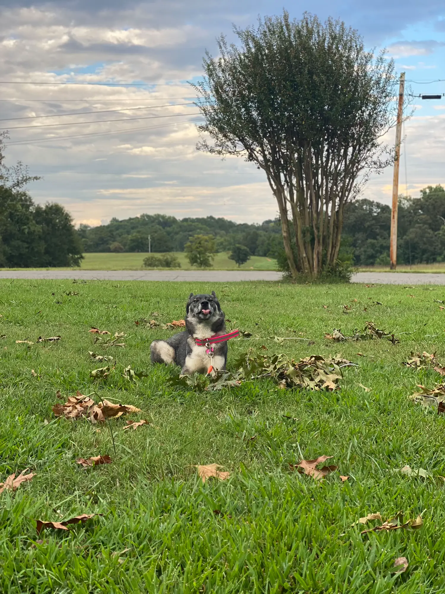 Tastes like rain 🌧️ | Gallery posted by Mallory Gibson | Lemon8