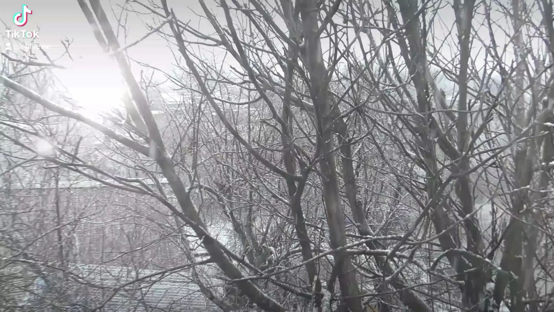 nature ☺️ snow 🌨️ Steel Soul music 🎵 | Video published by Spike | Lemon8