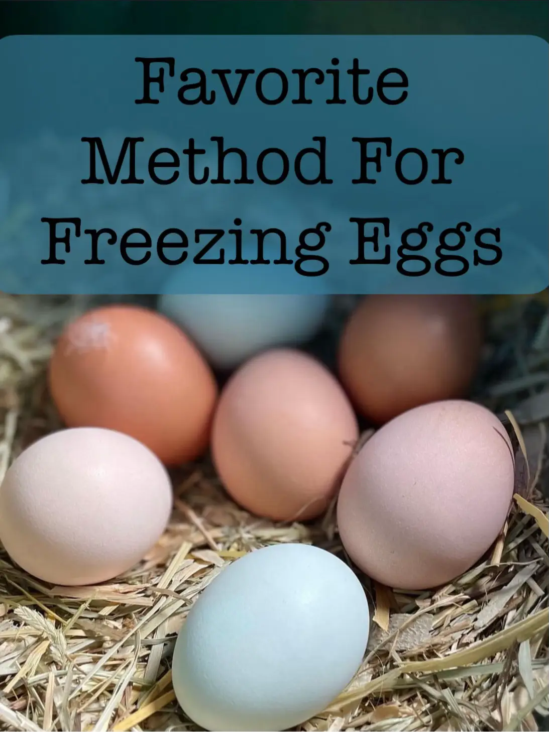 Favorite Method For Saving Extra Eggs! | Video published by Wildwoods Farm | Lemon8