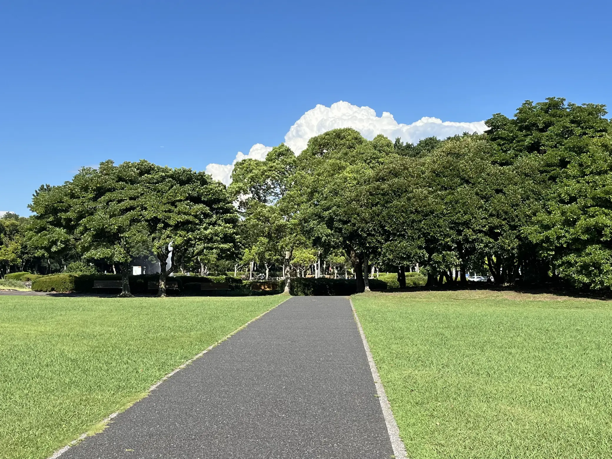 17 Saturday Clicks | Robin Singhが投稿したフォトブック | Lemon8