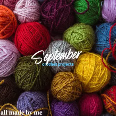 everything i made | september 2023 🧶 | Gallery posted by ℓυηα 🌙 | Lemon8