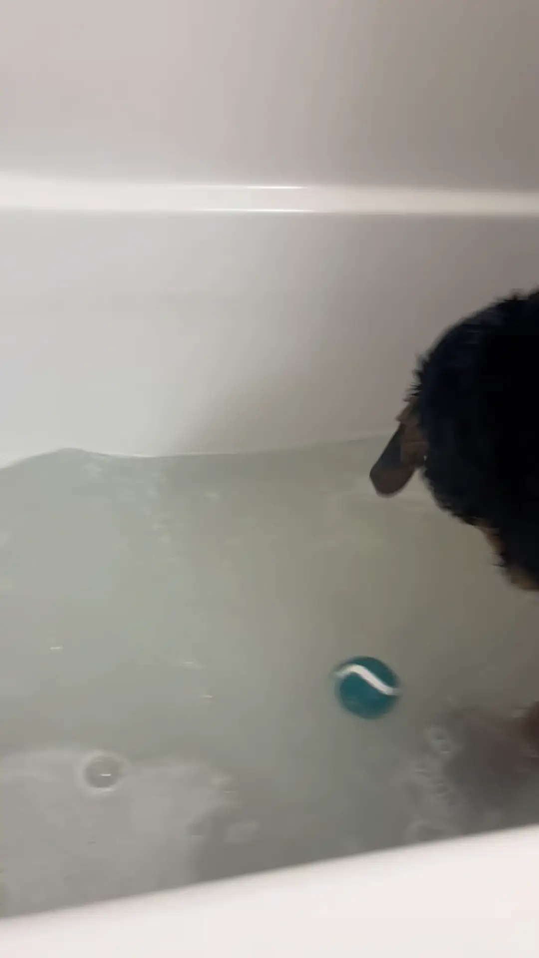 bathtime!! | Video published by chesney :) | Lemon8