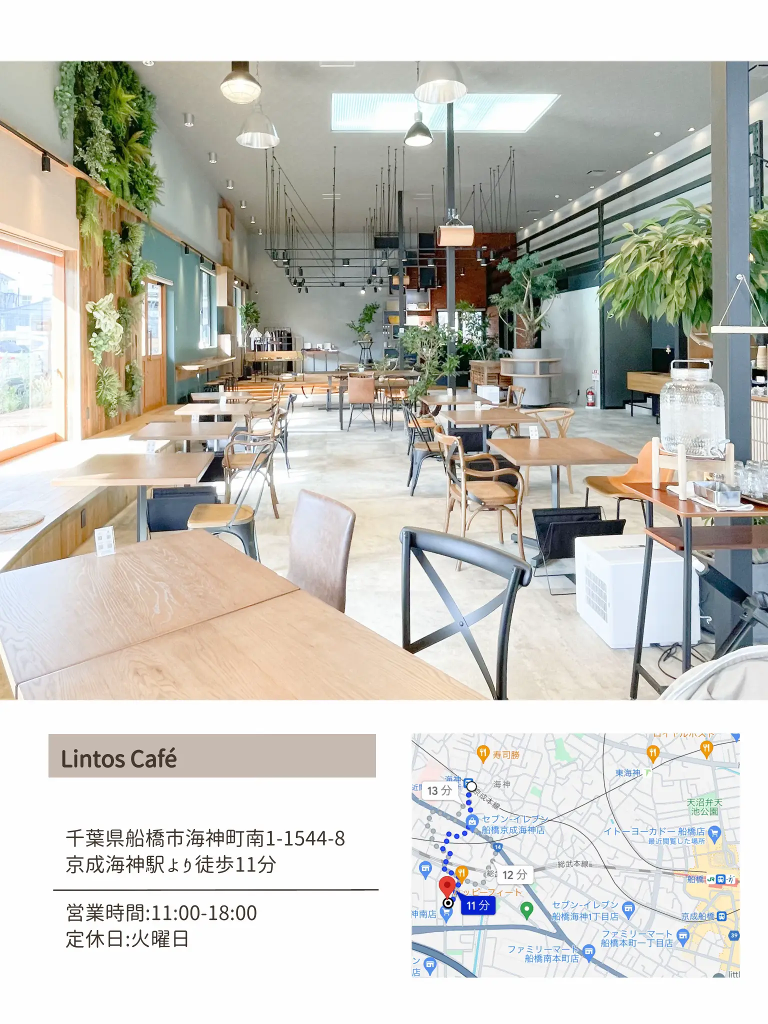 【船橋】ワンちゃん🐶ベビちゃんウェルカム🍼♡Lintos Café | しおR焙煎士🥨東京カフェ紹介が投稿したフォトブック | Lemon8