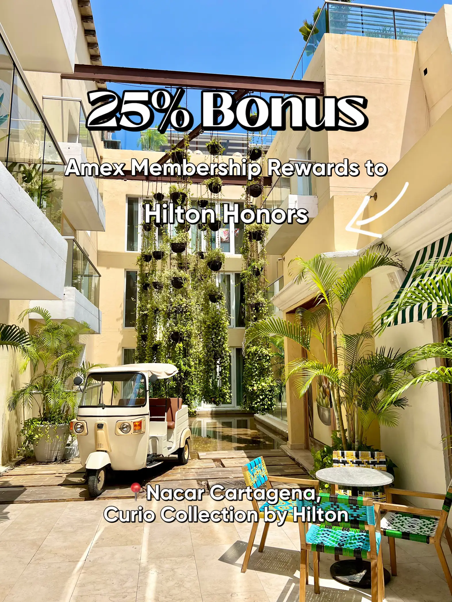 Transfer Bonuses You Need to Use this August | Gallery posted by Jack Lamarre | Lemon8