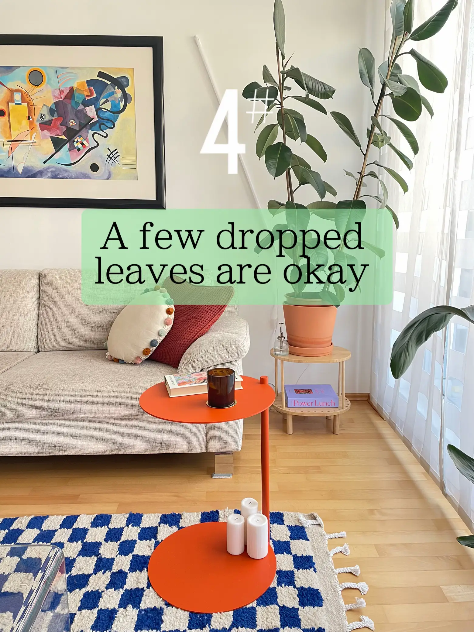 how to keep your plants healthy this winter 🪴 | แกลเลอรีที่โพสต์โดย Ochuko_ar | Lemon8