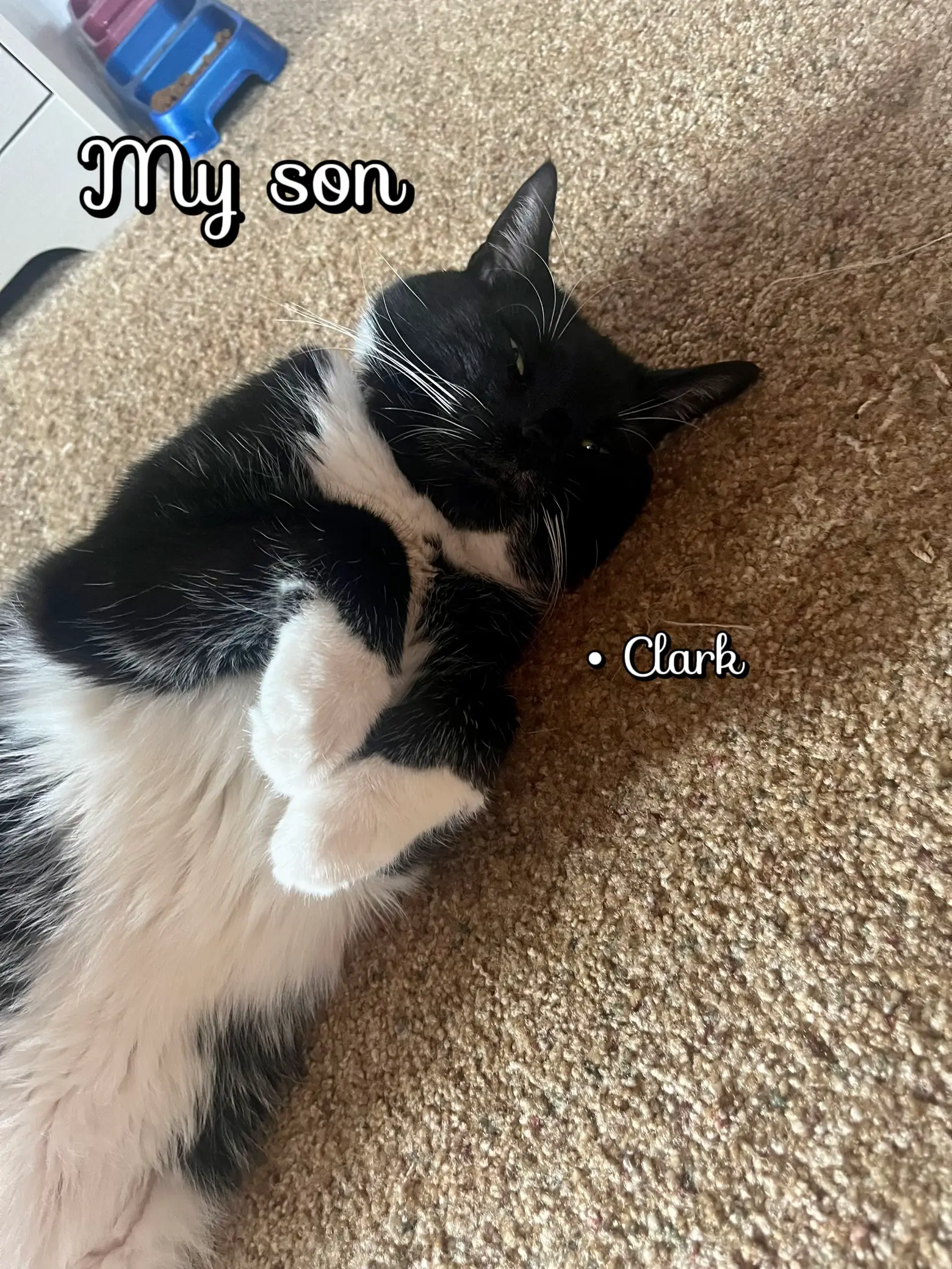 hey lemon8 !! | Gallery posted by ☀️sara🫧 | Lemon8