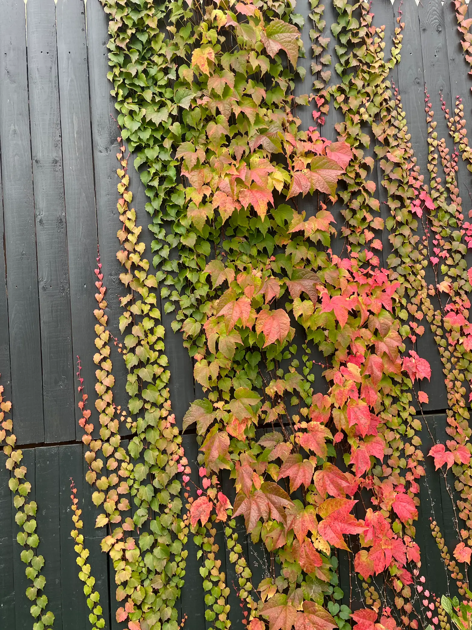 Picturesque Maine | Gallery posted by Alex | Lemon8