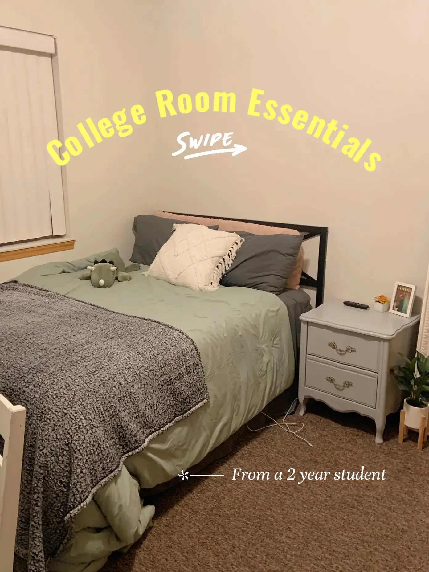 College Room Essentials | Gallery posted by Savanna ̈ | Lemon8