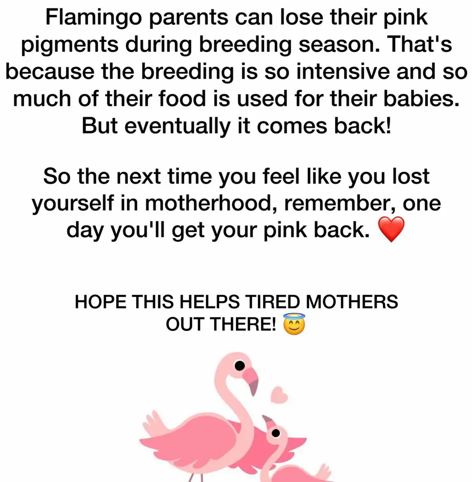 francesknettle posted a contri | Gallery posted by Frances Knettle | Lemon8