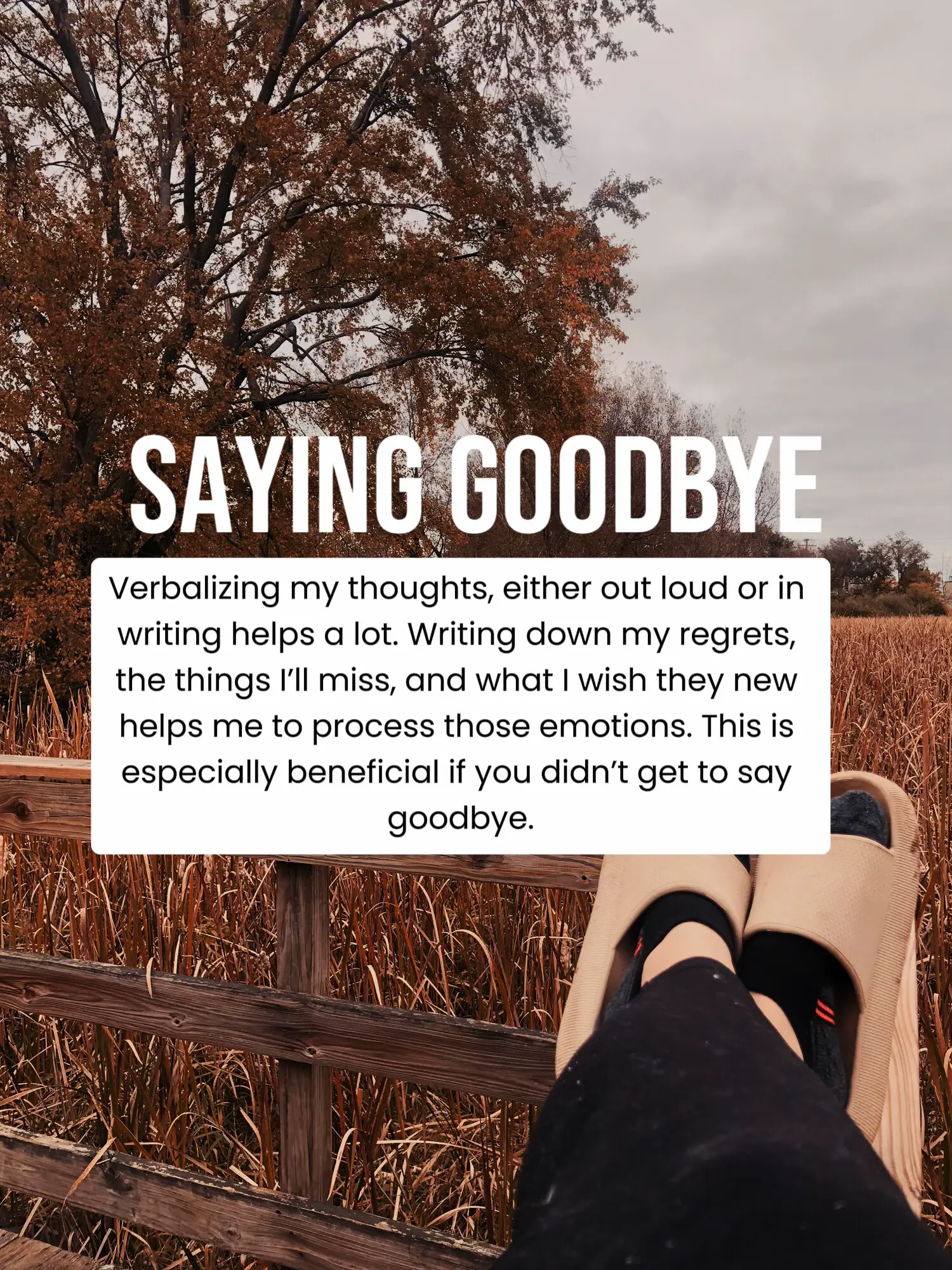 How I’m Processing Grief | แกลเลอรีที่โพสต์โดย Staci York | Lemon8