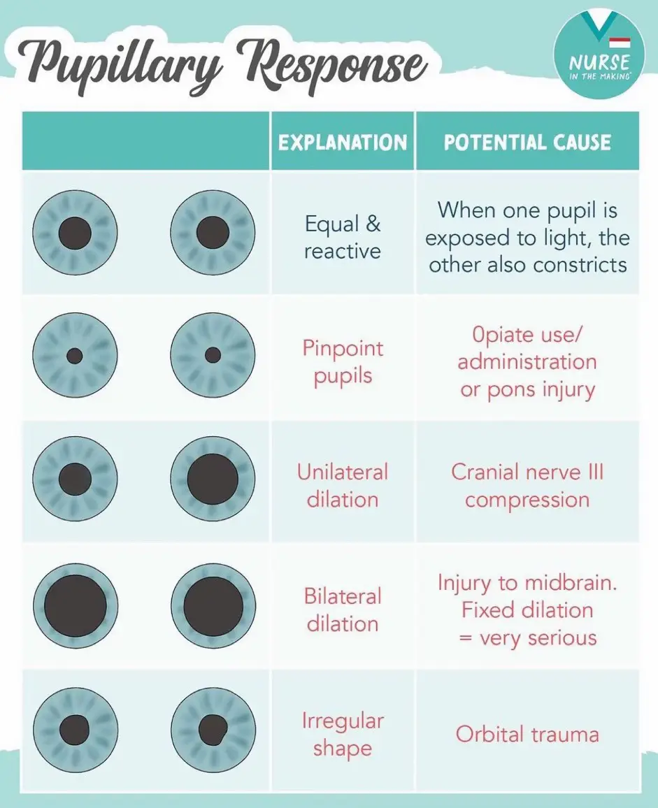 kemika_ortiz posted a contribu | Gallery posted by Ortiz | Lemon8