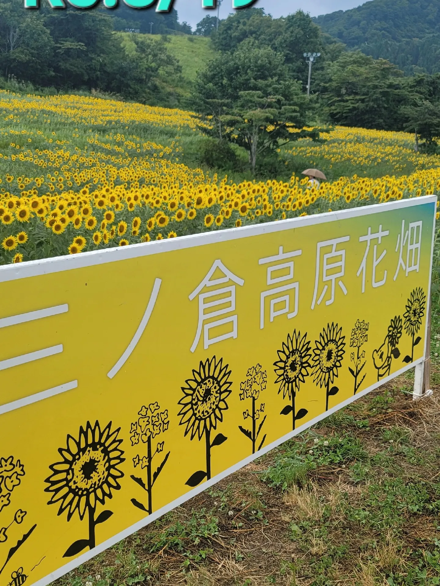 【喜多方観光】三ノ倉高原ひまわり畑🌻 R5.8/19 | ももが投稿したフォトブック | Lemon8