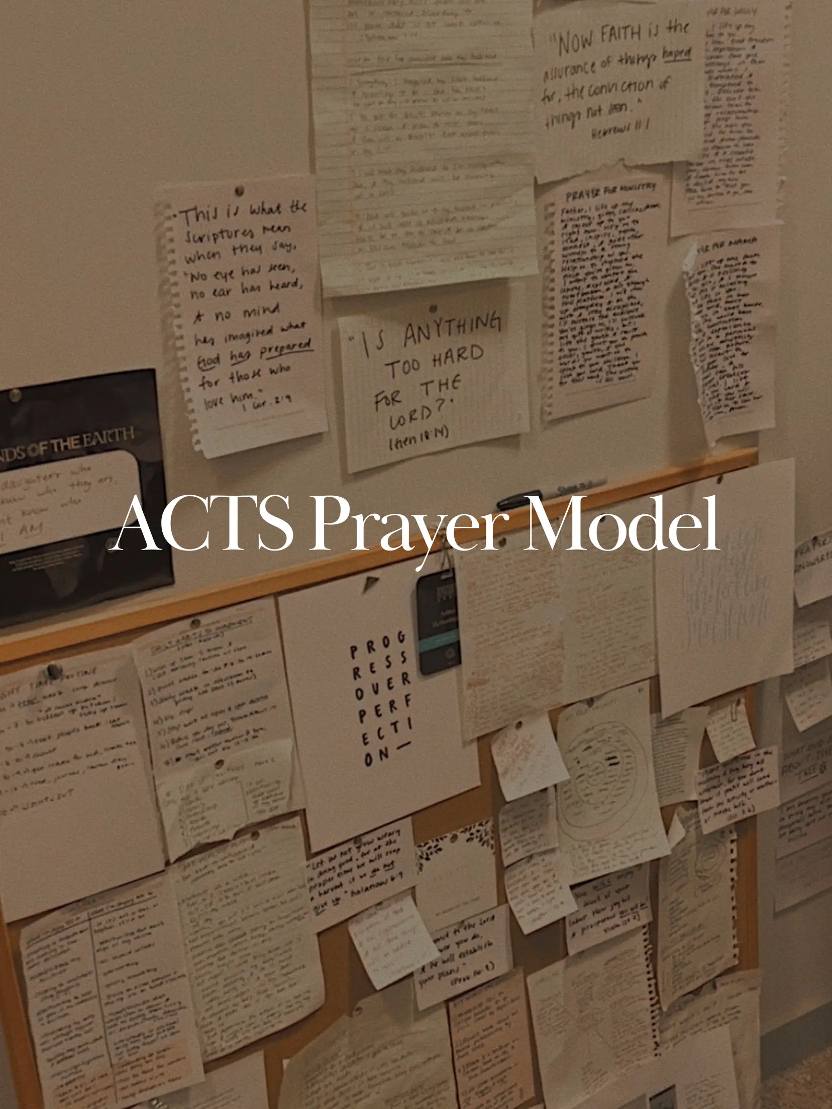 ACTS PRAYER MODEL 🙏🏻🤍 | Gallery posted by ASHLEY 💖💐🎀🌸 | Lemon8