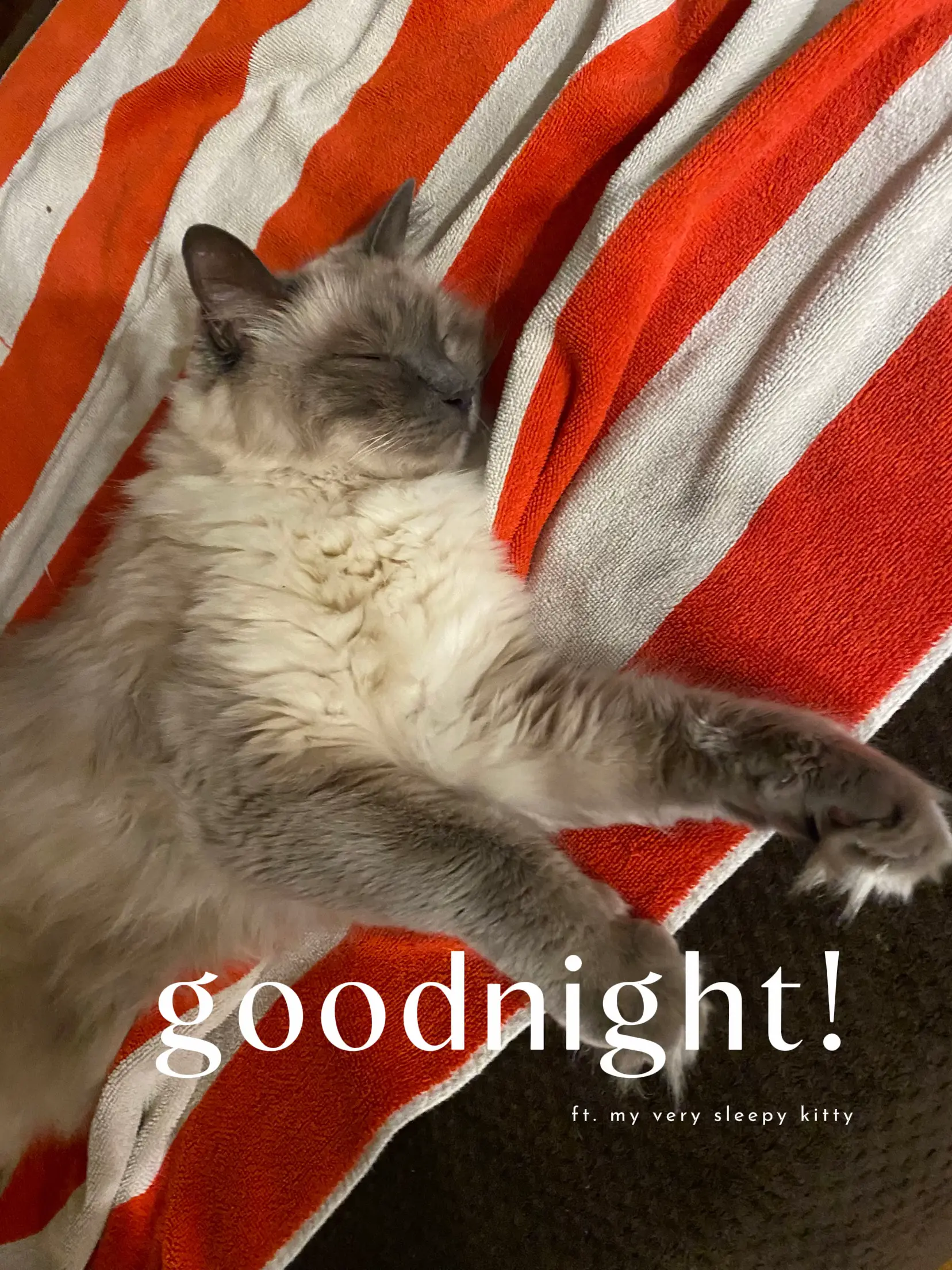 BEDTIME ROUTINE💤 | Gallery posted by maeve wilson | Lemon8