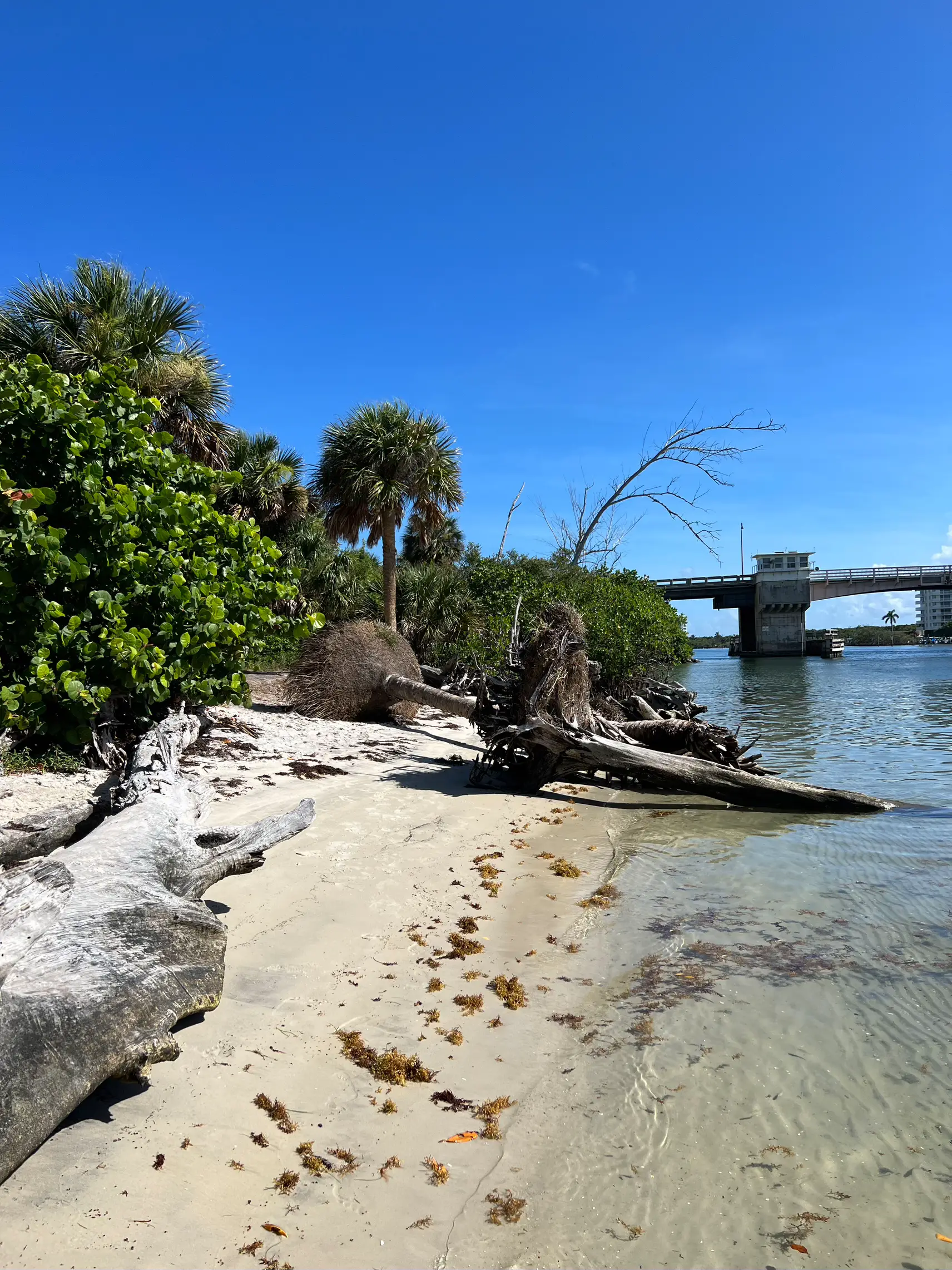 Catos bridge jupiter Florida | Gallery posted by Tori | Lemon8