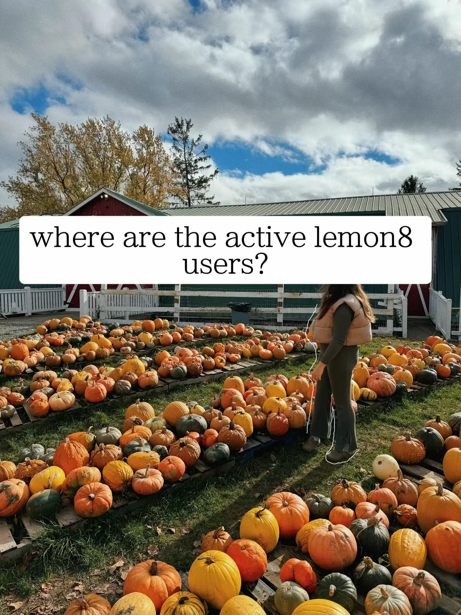 where are the active lemon8 users? | Gallery posted by Marissa | Lemon8