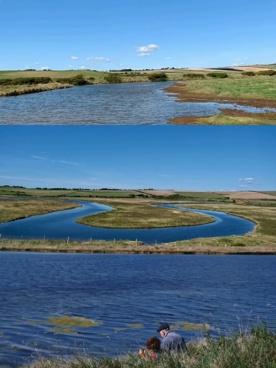 จุด🇬🇧น้องสาวเจ็ดคน | แกลเลอรีที่โพสต์โดย Tutu | Lemon8