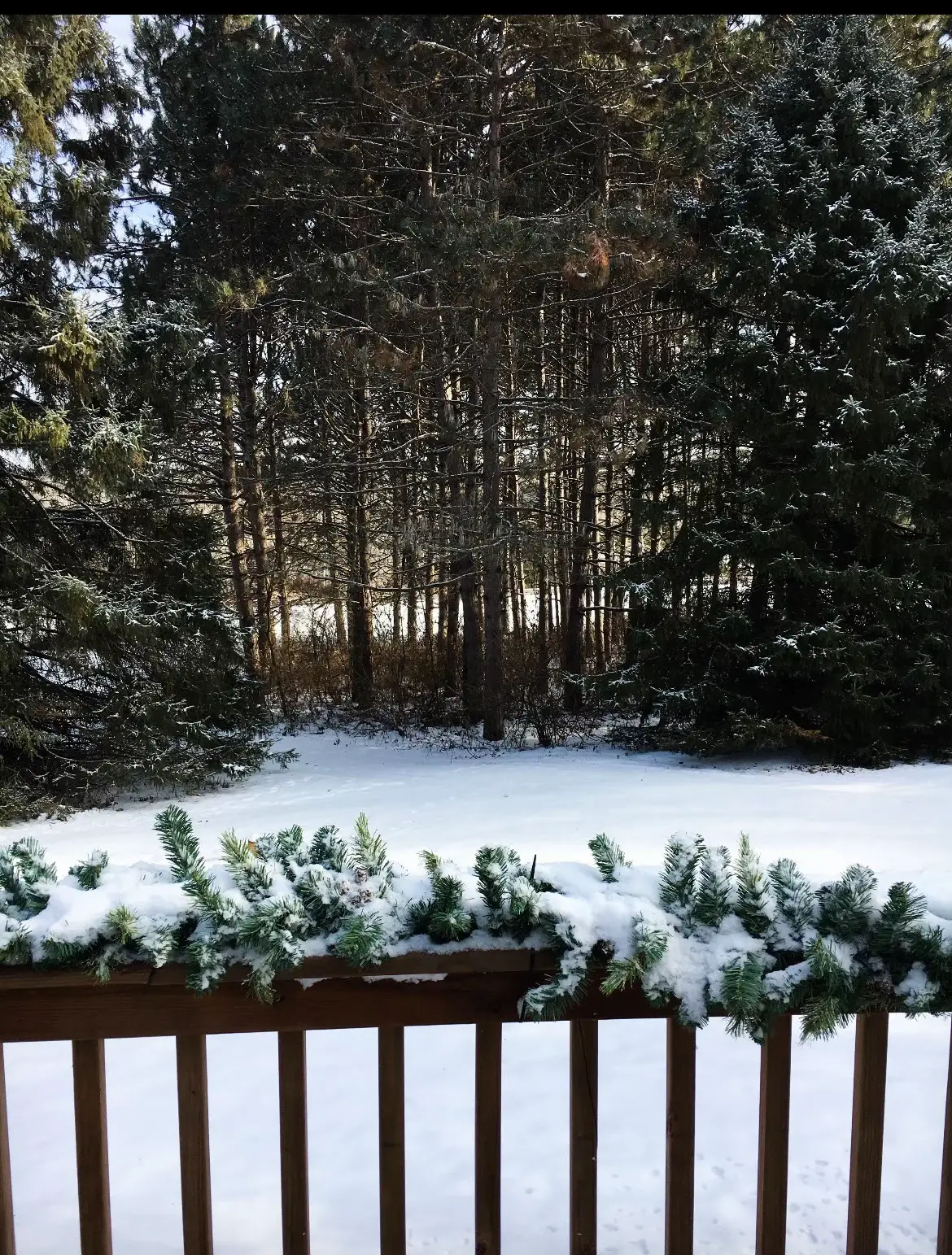 CAMERA ROLL DUMP 📸 | Gallery posted by mir 🧸 | Lemon8