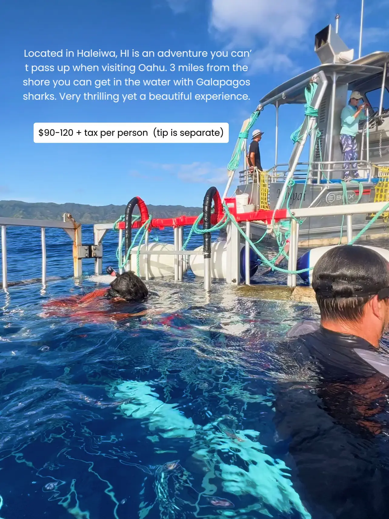 Shark Adventures - Haleiwa, HI (North Shore Oahu) | แกลเลอรีที่โพสต์โดย ...