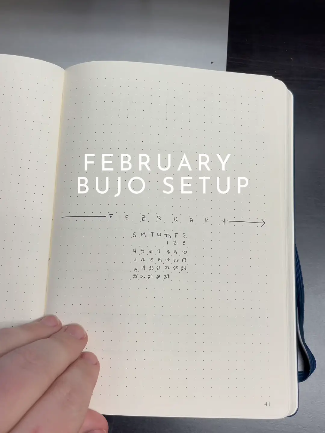 February Journal Flipthrough | Video published by Fluffy | Lemon8