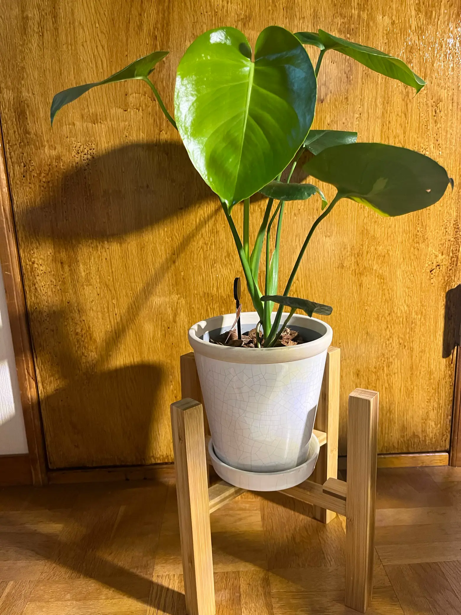 III TSUKUBA | แกลเลอรีที่โพสต์โดย yuko. | Lemon8