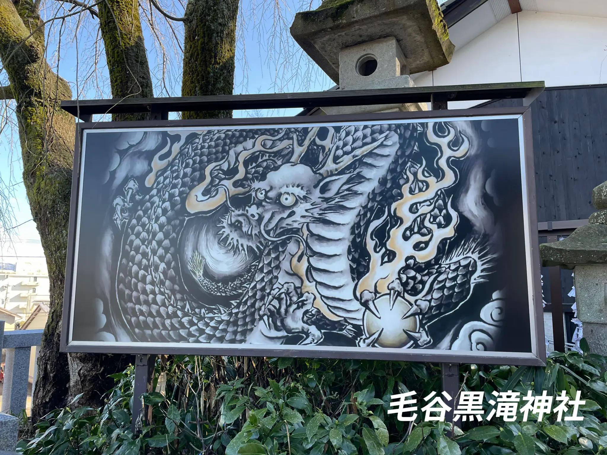 毛谷黒龍神社⛩️ | wanwanが投稿したフォトブック | Lemon8