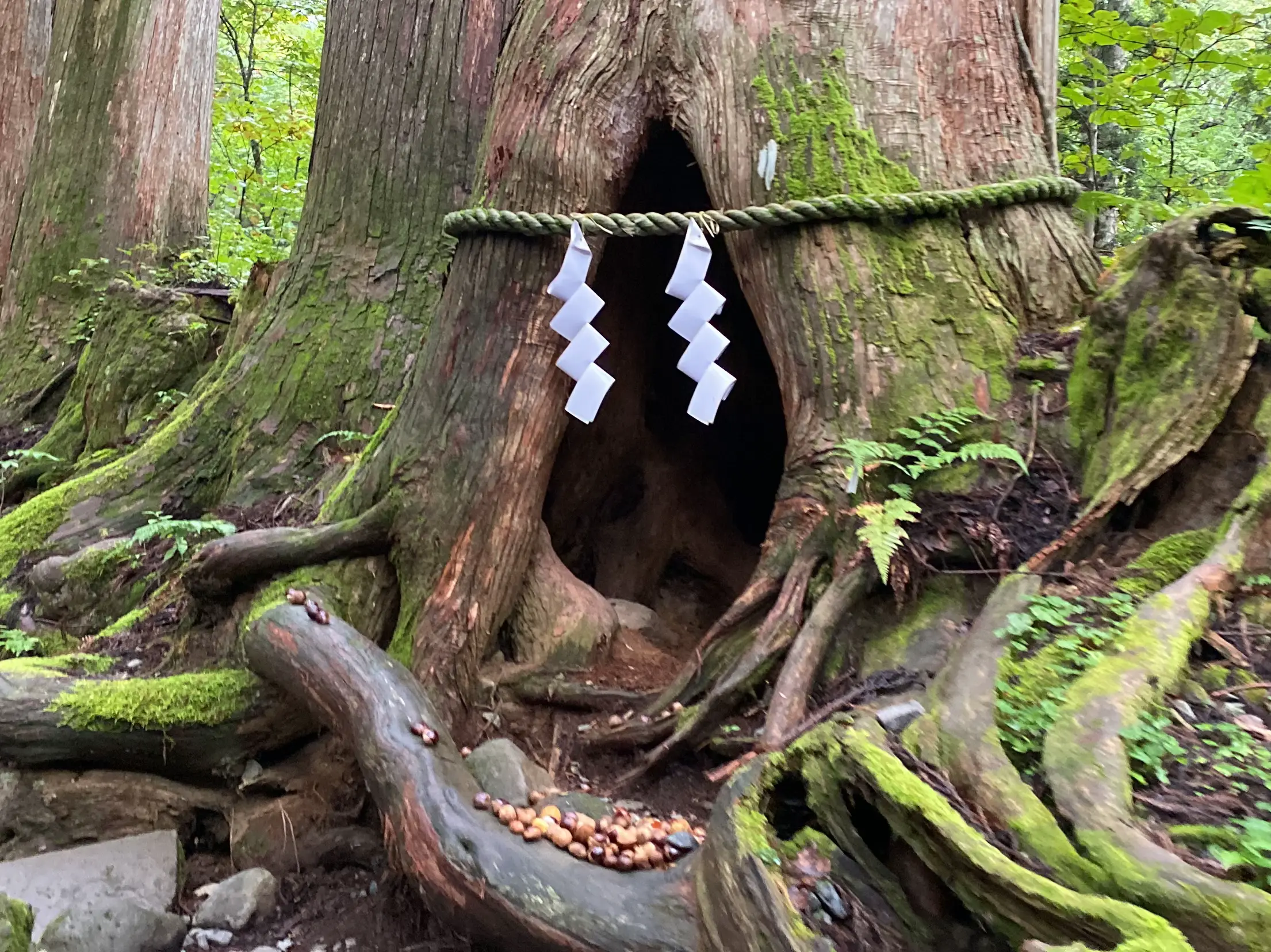 ศาลเจ้า | แกลเลอรีที่โพสต์โดย vimukthi | Lemon8