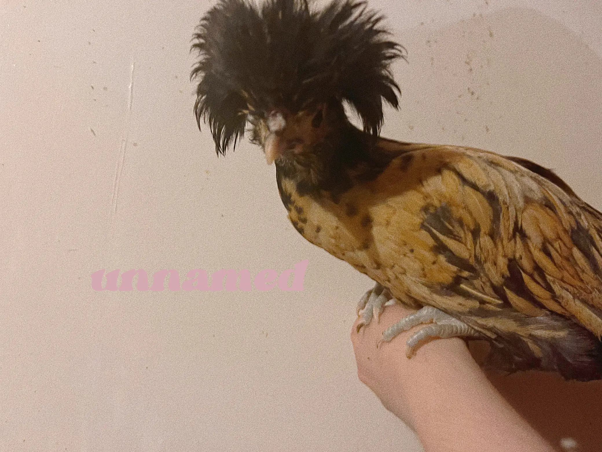 chicks then vs. now pt. 2 | Gallery posted by Ariel Rodgers | Lemon8