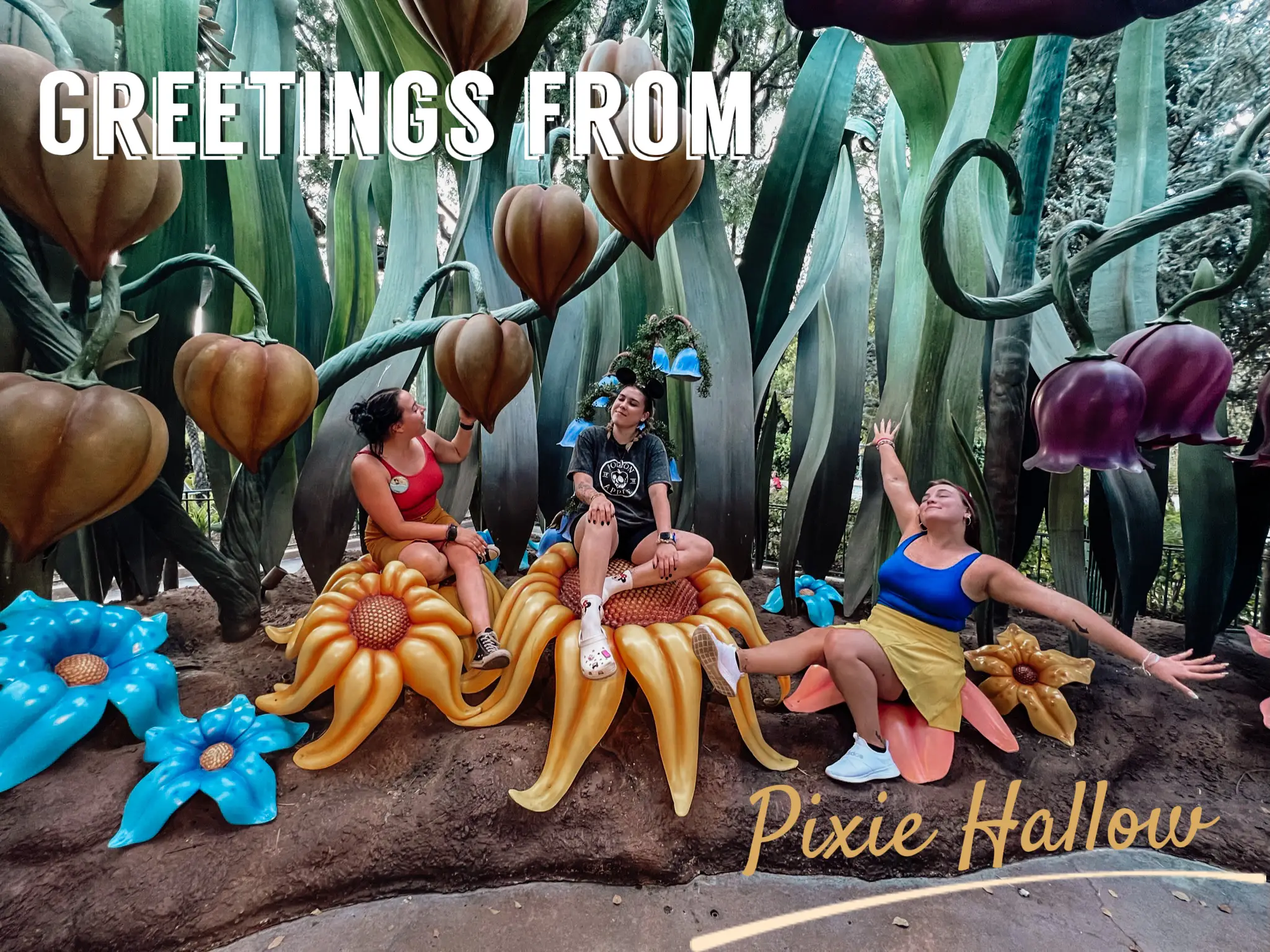 Pixie Hallow | Gallery posted by meganinthemagic | Lemon8