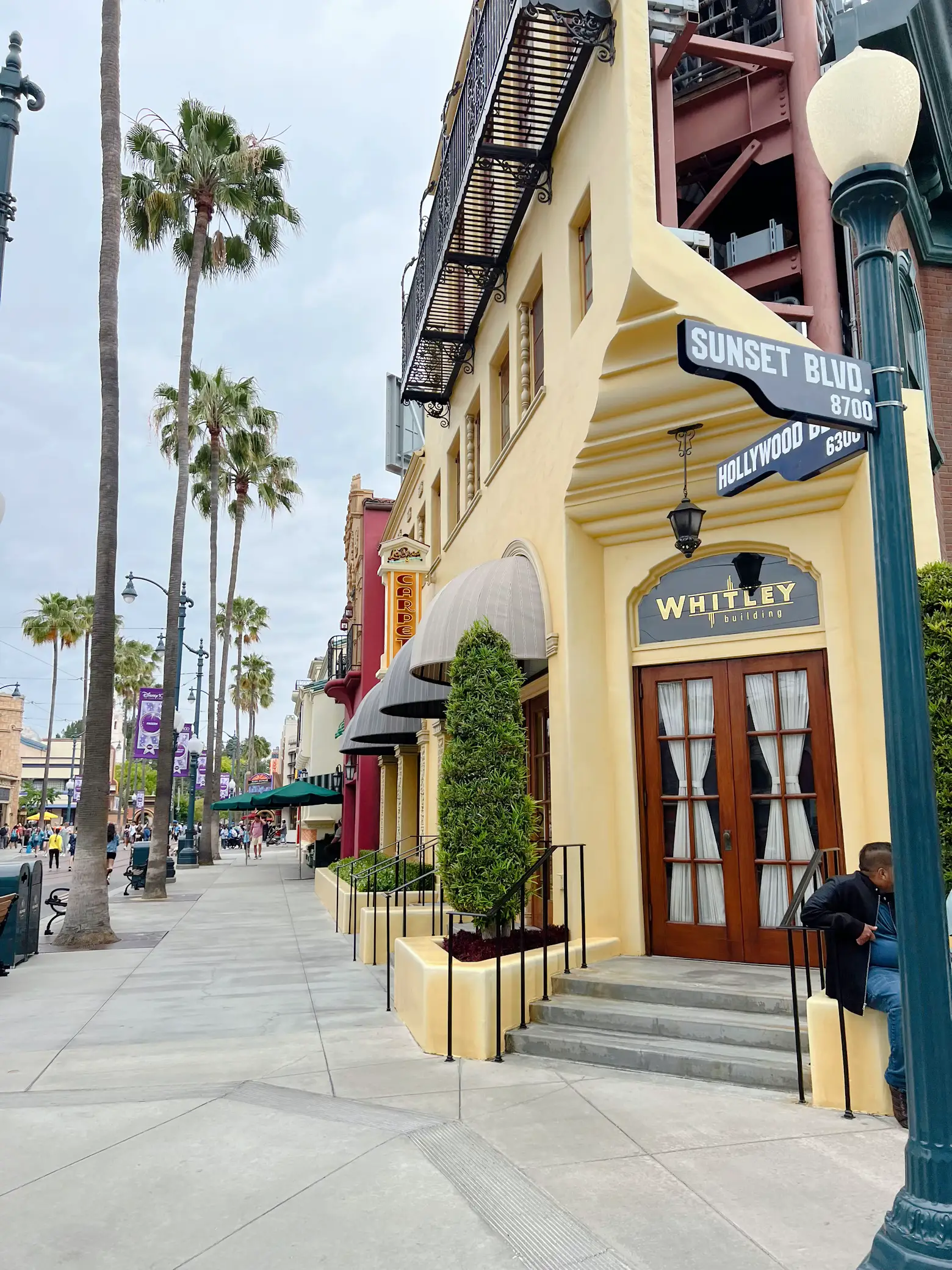 California Adventure | Gallery posted by maitlynnicole | Lemon8