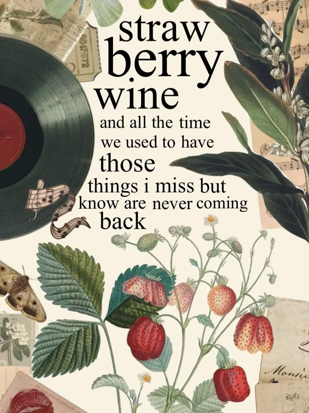 NOAH KAHAN lyrics🌲 | แกลเลอรีที่โพสต์โดย Maggie Park | Lemon8