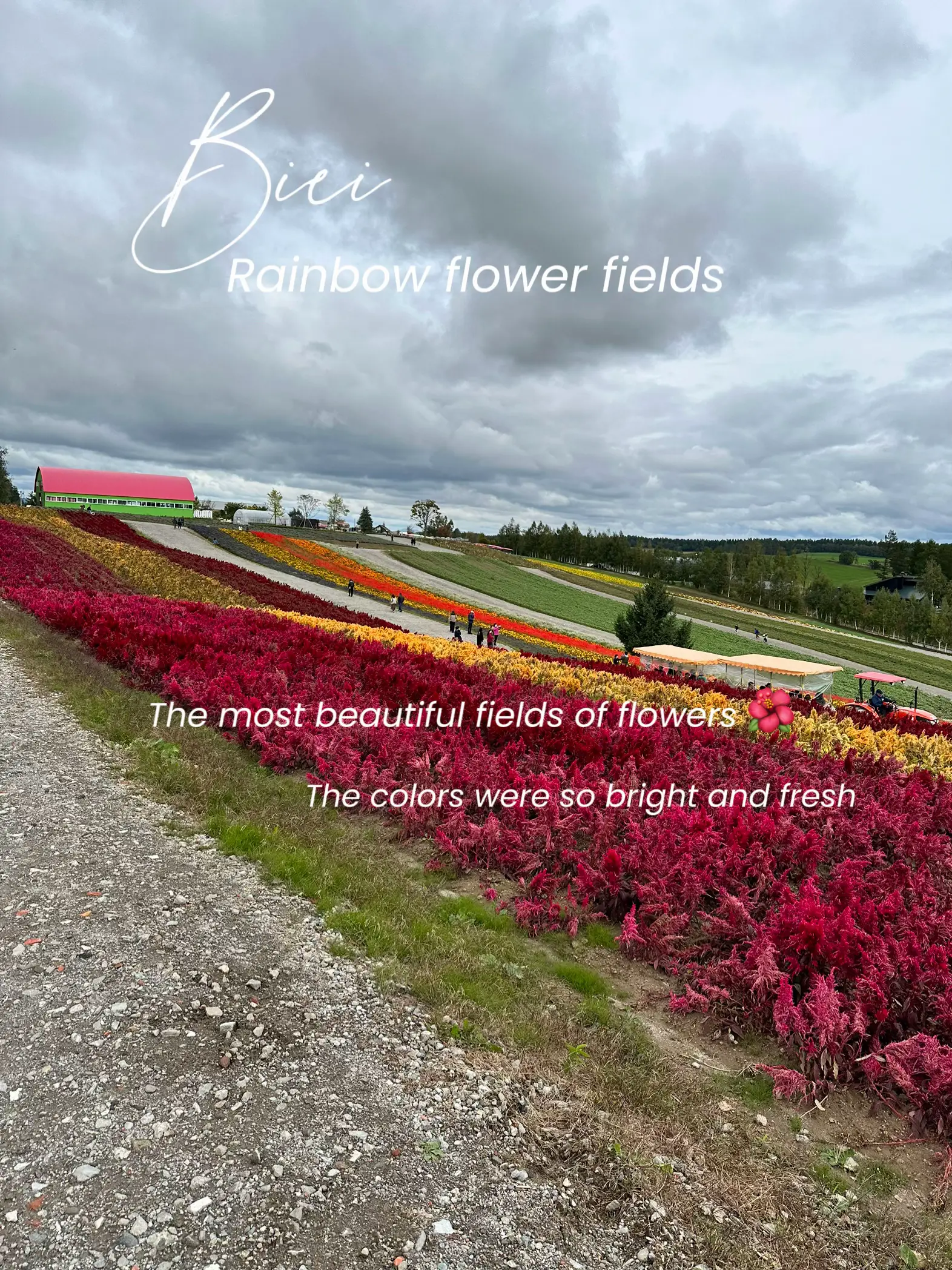 Japan Honeymoon (part 4) | Gallery posted by Alex Probst | Lemon8