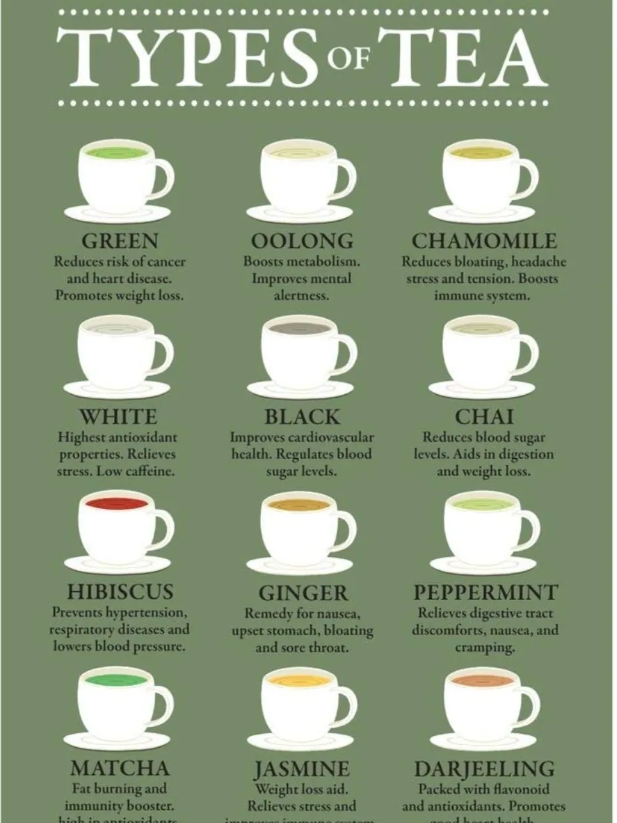 Tea Chart | Gallery posted by Amber Martin | Lemon8