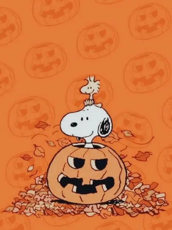 Charlie Brown Wallpapers (Fall) 🎃 | Gallery posted by emily🌸 | Lemon8
