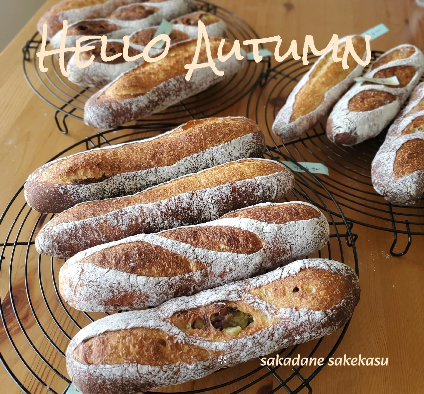 残りレッスンわずか | bebe breadが投稿したフォトブック | Lemon8