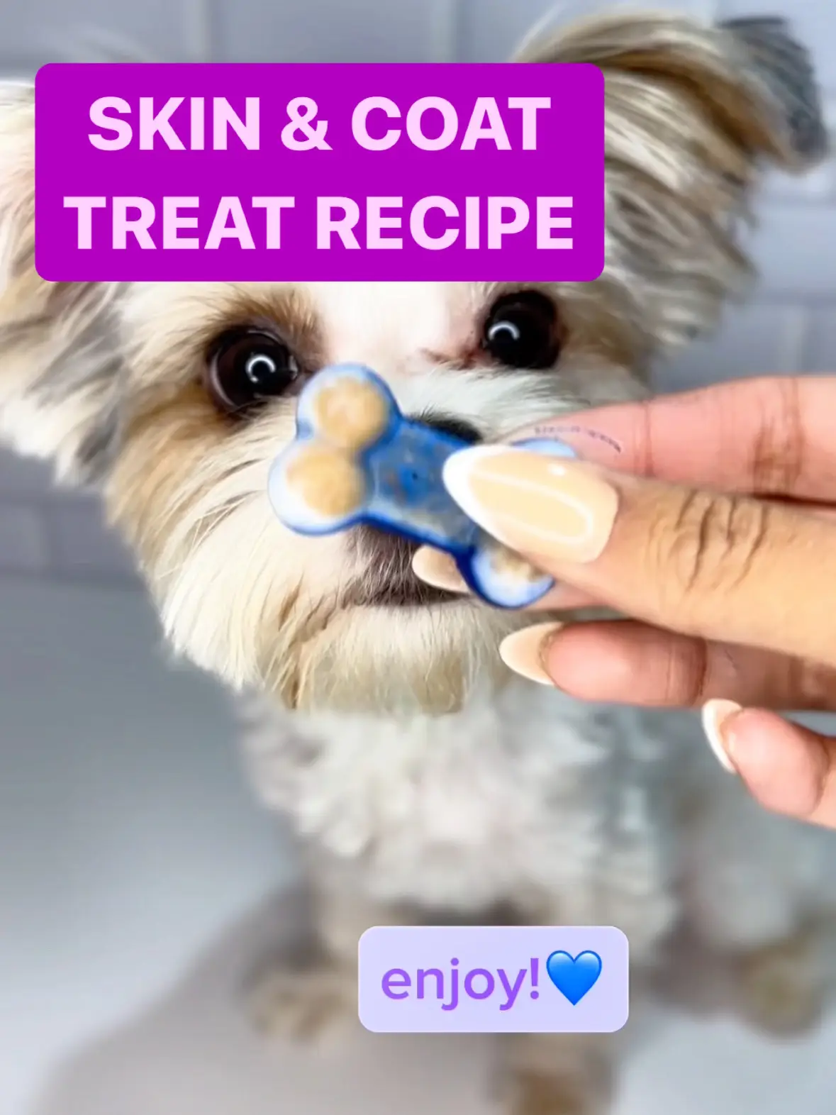 Easy Dog Treat Recipe | Video published by Rachel Fusaro🐶 | Lemon8