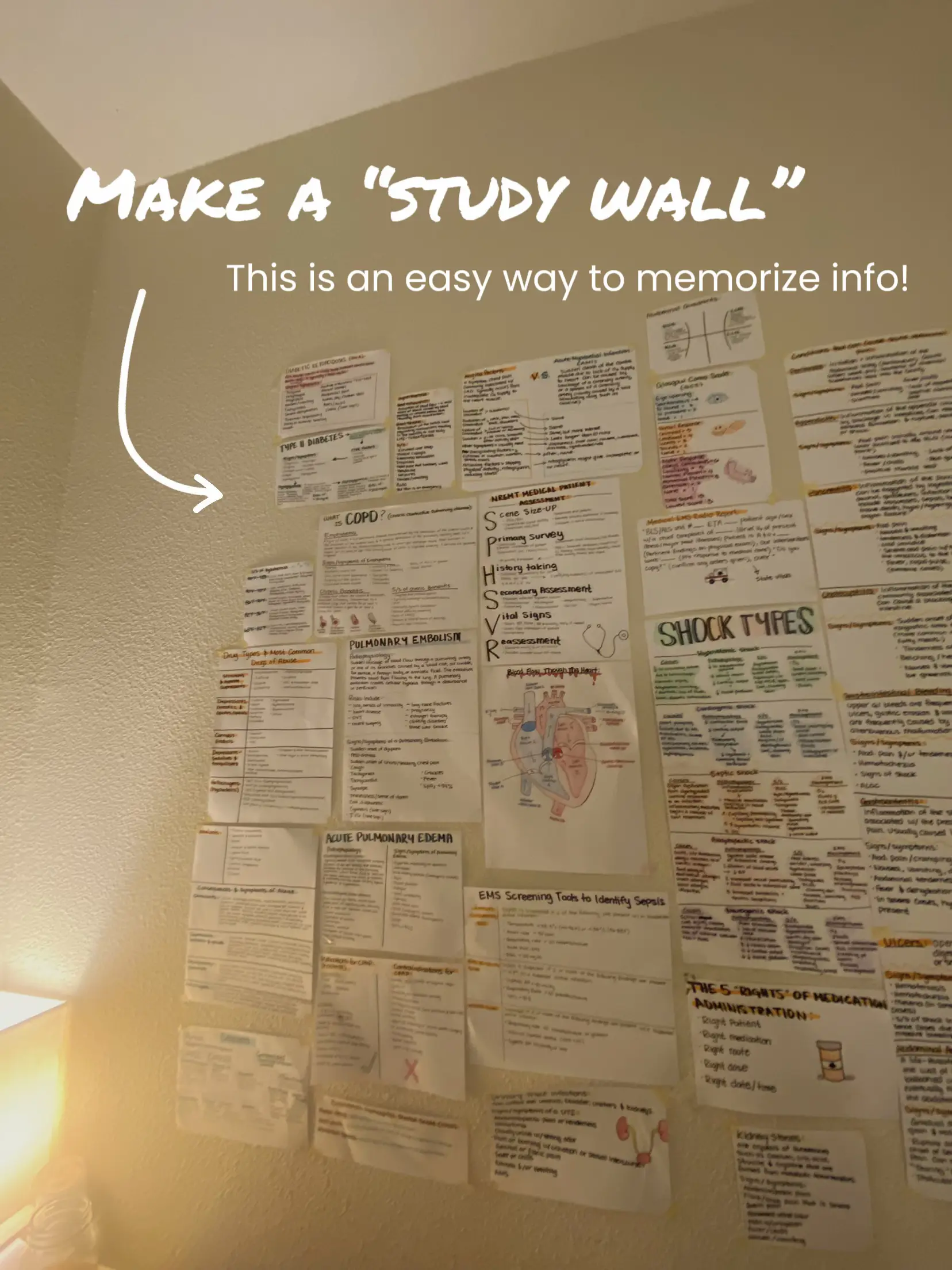 How To Get Motivated To Study Gallery Posted By MaddieM Lemon8 How To Get Motivated To Study Gallery Posted By MaddieM Lemon8