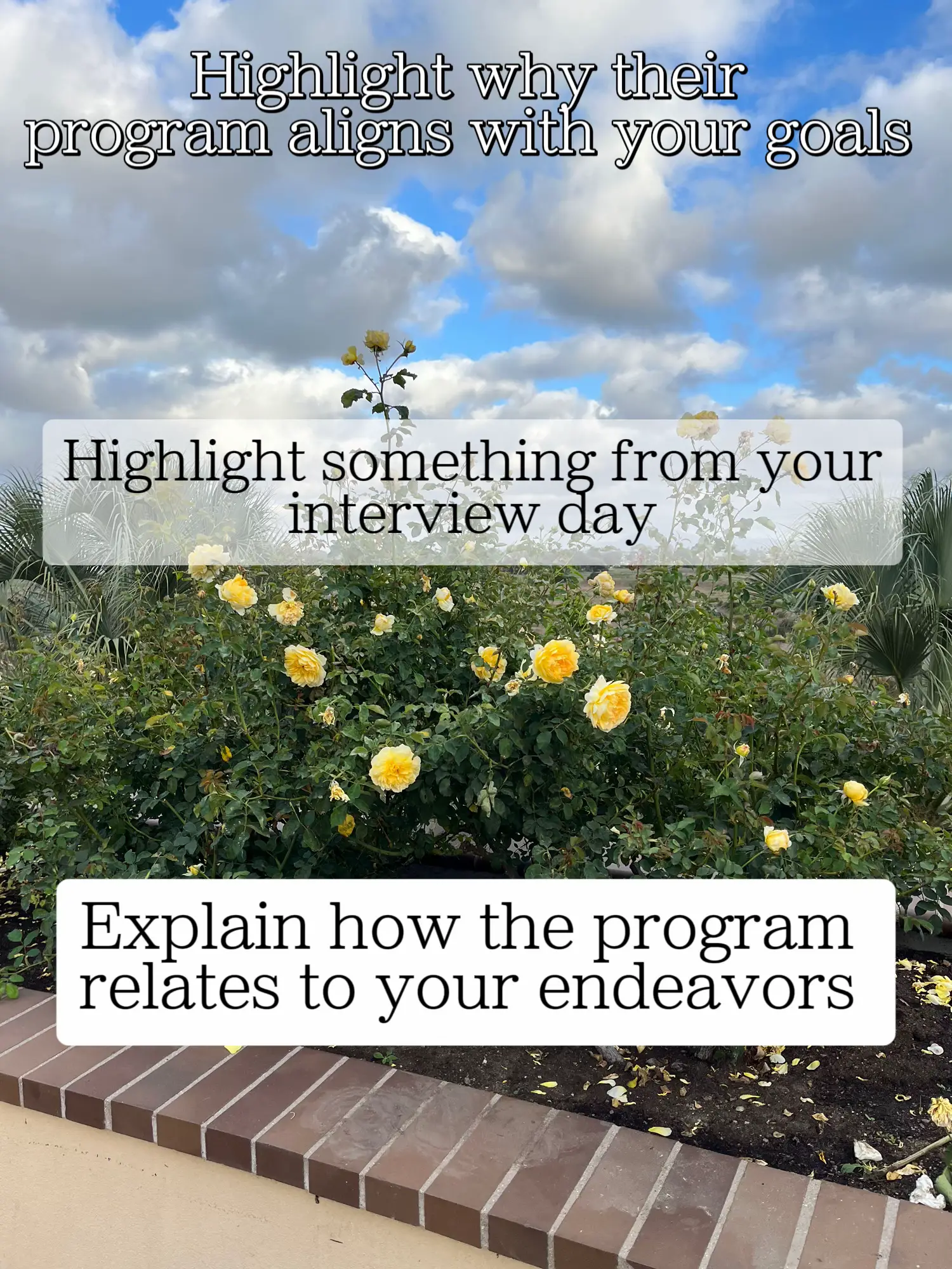 "Why do you want to attend this medical school?" | Gallery posted by Em Barnard, MD | Lemon8