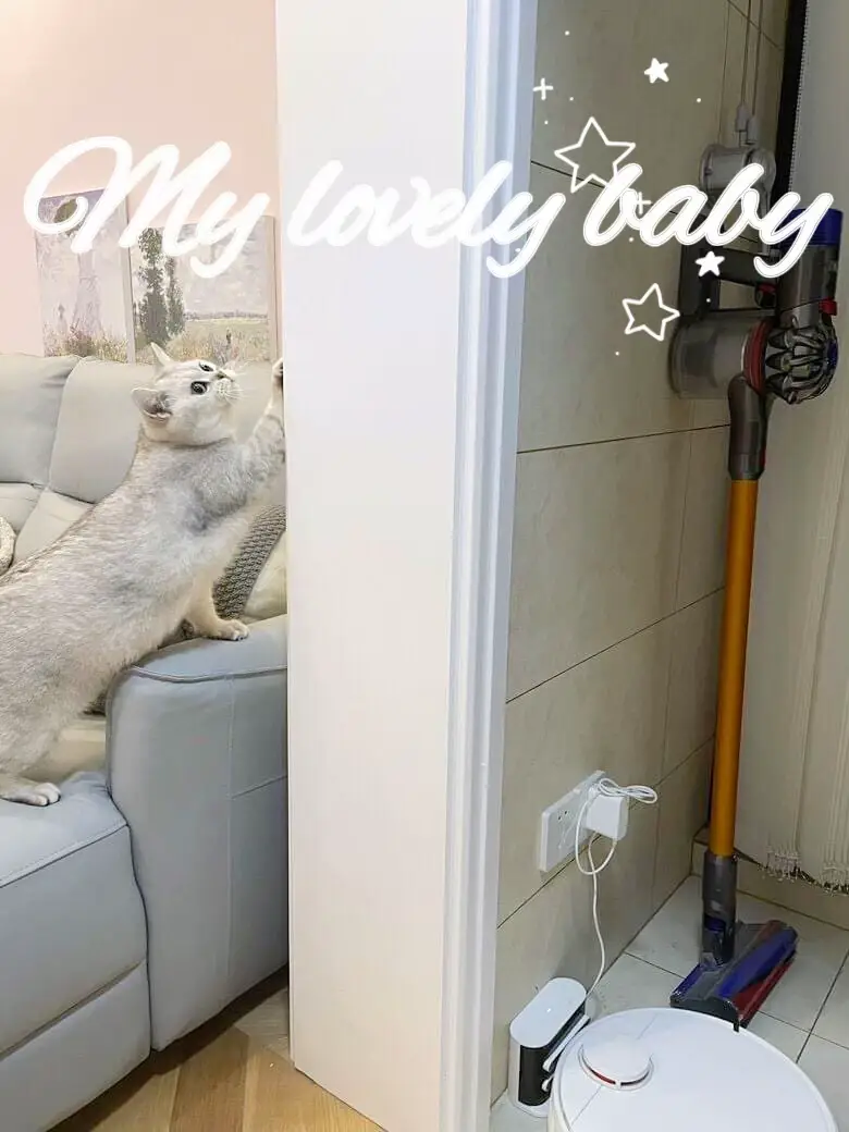 ️ ️🫶 | แกลเลอรีที่โพสต์โดย Kaito Dav | Lemon8